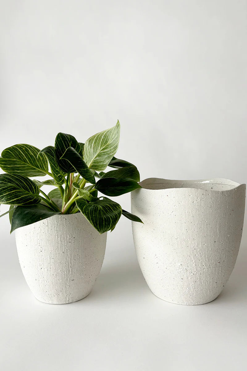 Rhea Textured Planter - Small – Loft Furniture NZ