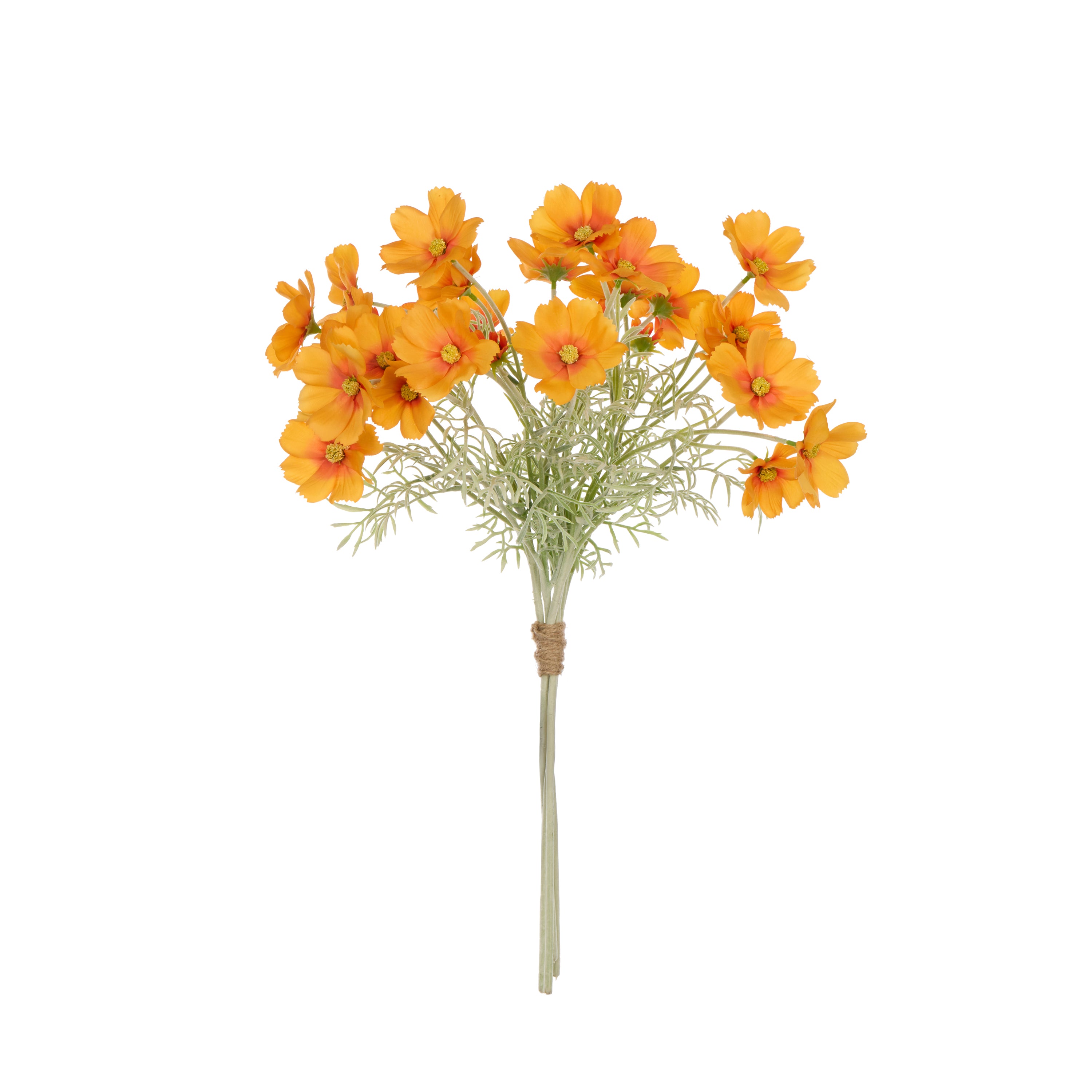 Cosmos Bunch - Orange – Loft Furniture NZ