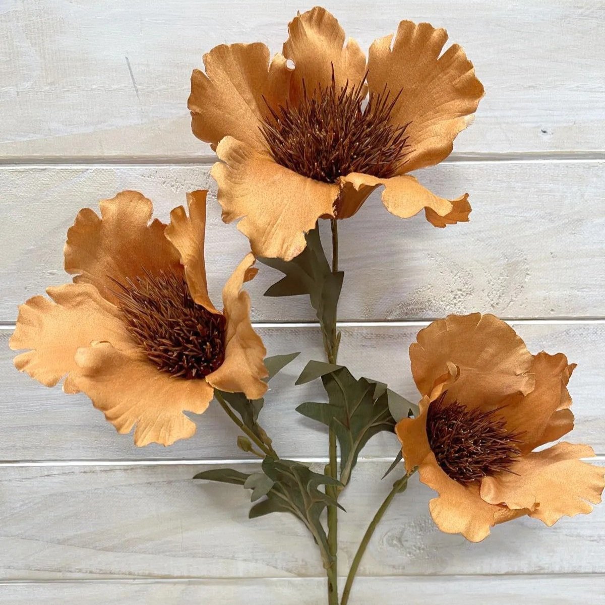 Kapok Flower - Brown – Loft Furniture NZ