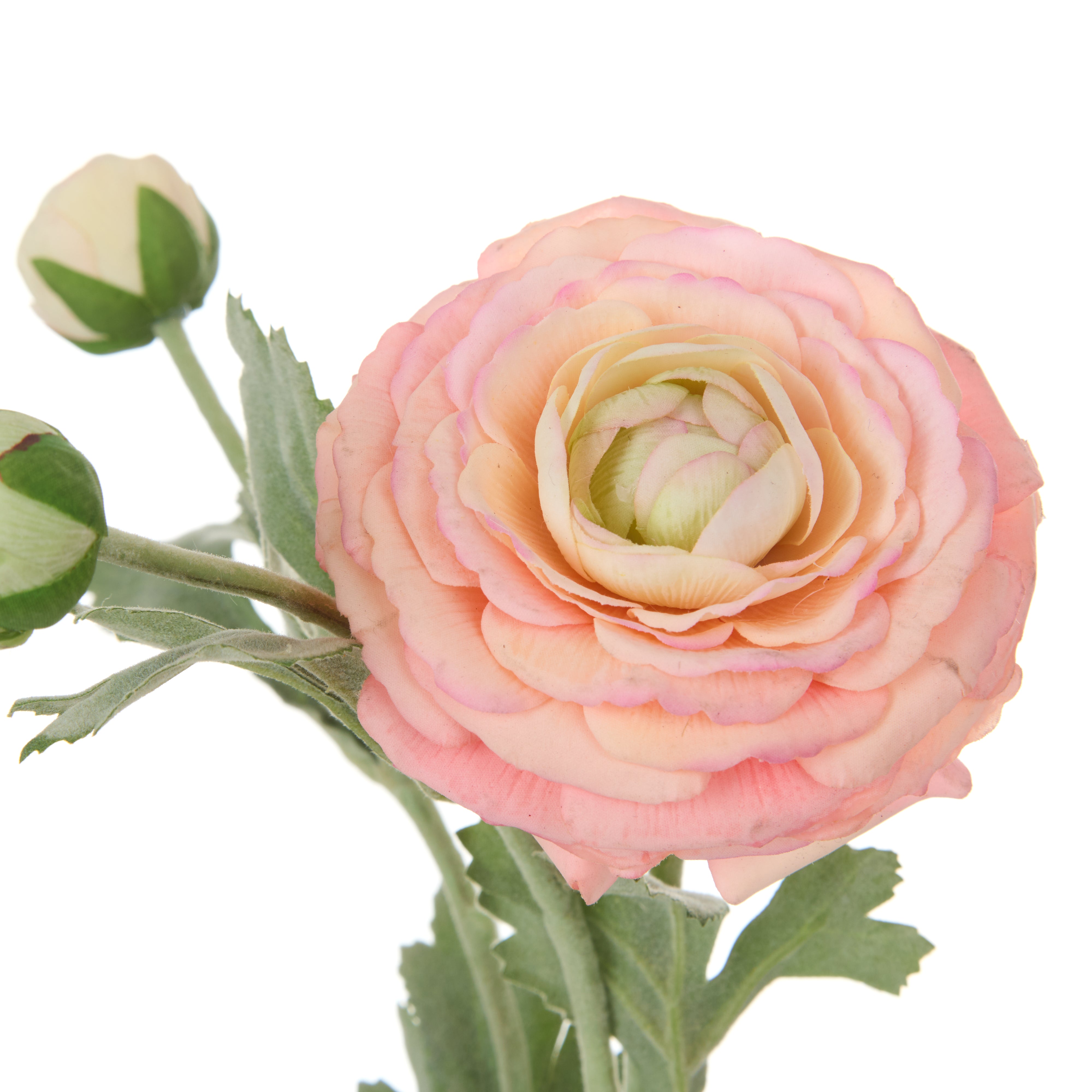 Ranunculus Spray - Coral – Loft Furniture NZ